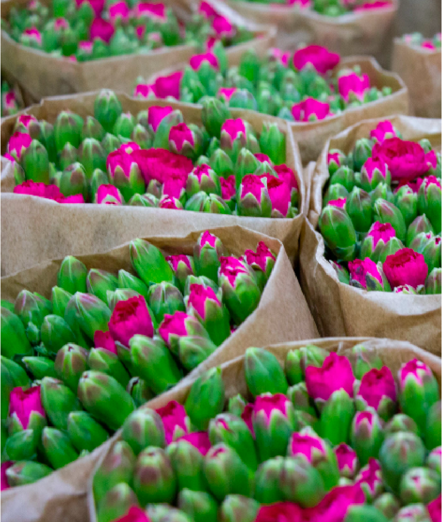 Our Story - JZ Flowers